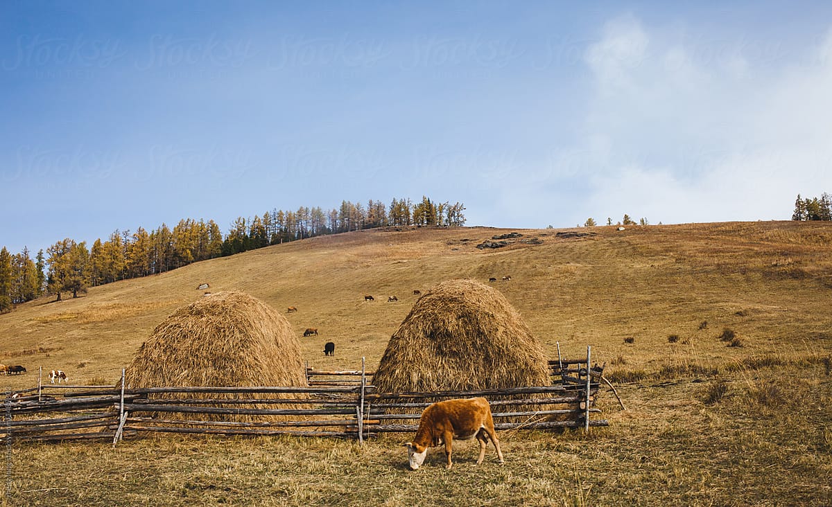"Xinjiang Landscape" by Stocksy Contributor "Zheng Long" - Stocksy