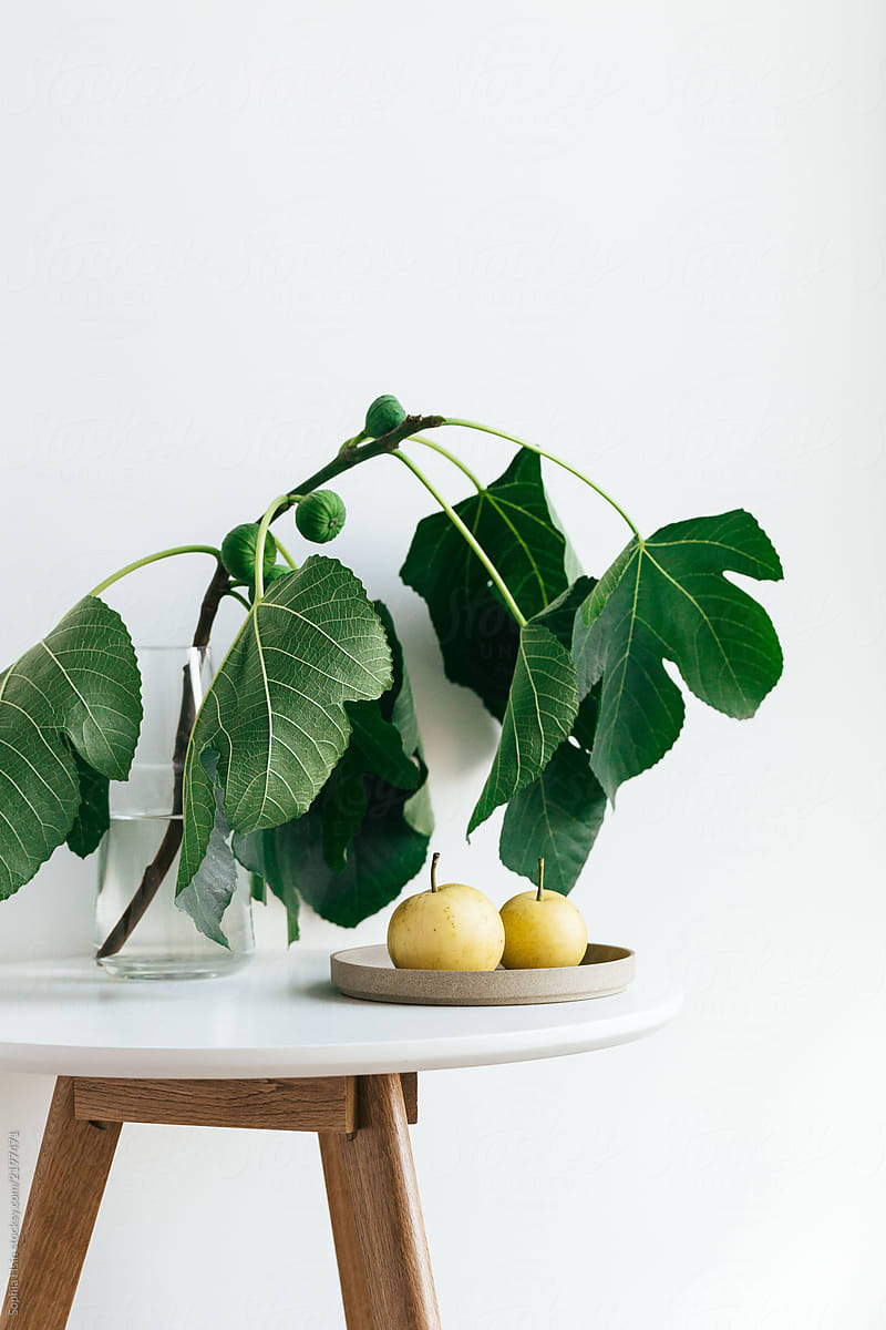 "Wood Table With Fig Branch, Pear And Ceramic Plate" by Stocksy ...