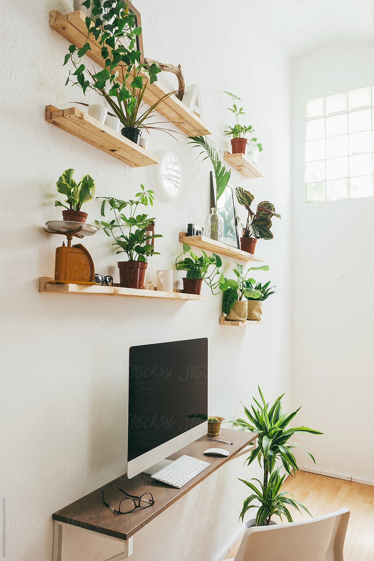"Computer In A Cool Business Workspace Full Of Plants." by Stocksy ...