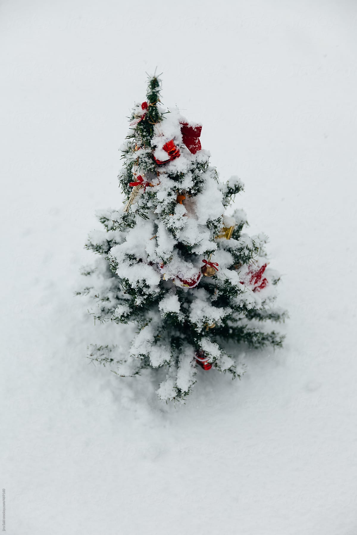 "Christmas Tree" by Stocksy Contributor "Jira Saki" - Stocksy