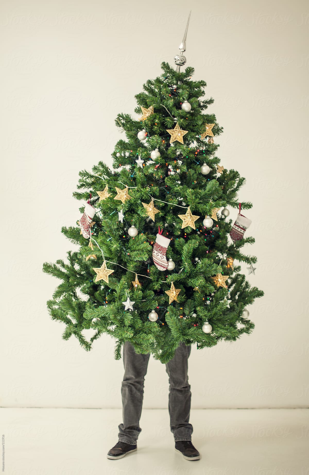 "Man Holding Big Christmas Tree" by Stocksy Contributor "Mosuno" - Stocksy