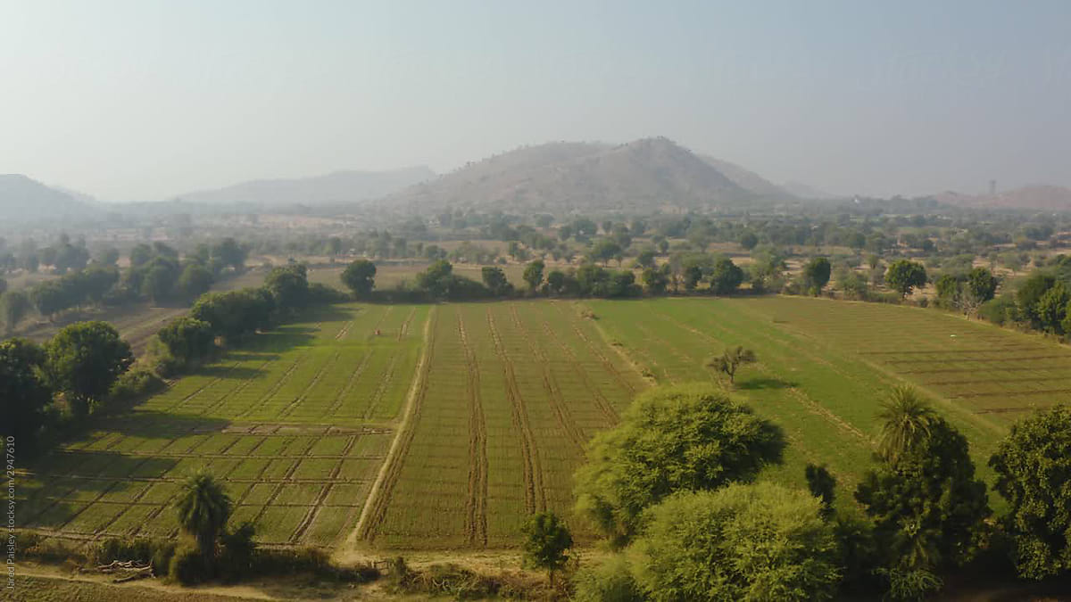 "Aerial Of Farms In Rural India" by Stocksy Contributor "Jared Paisley ...