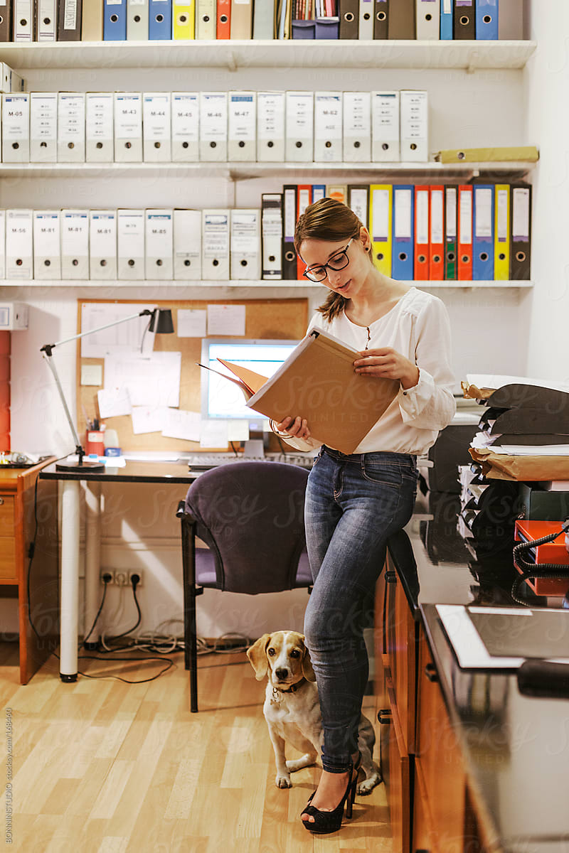 "Businesswoman Working At Office With Her Dog." by Stocksy Contributor ...