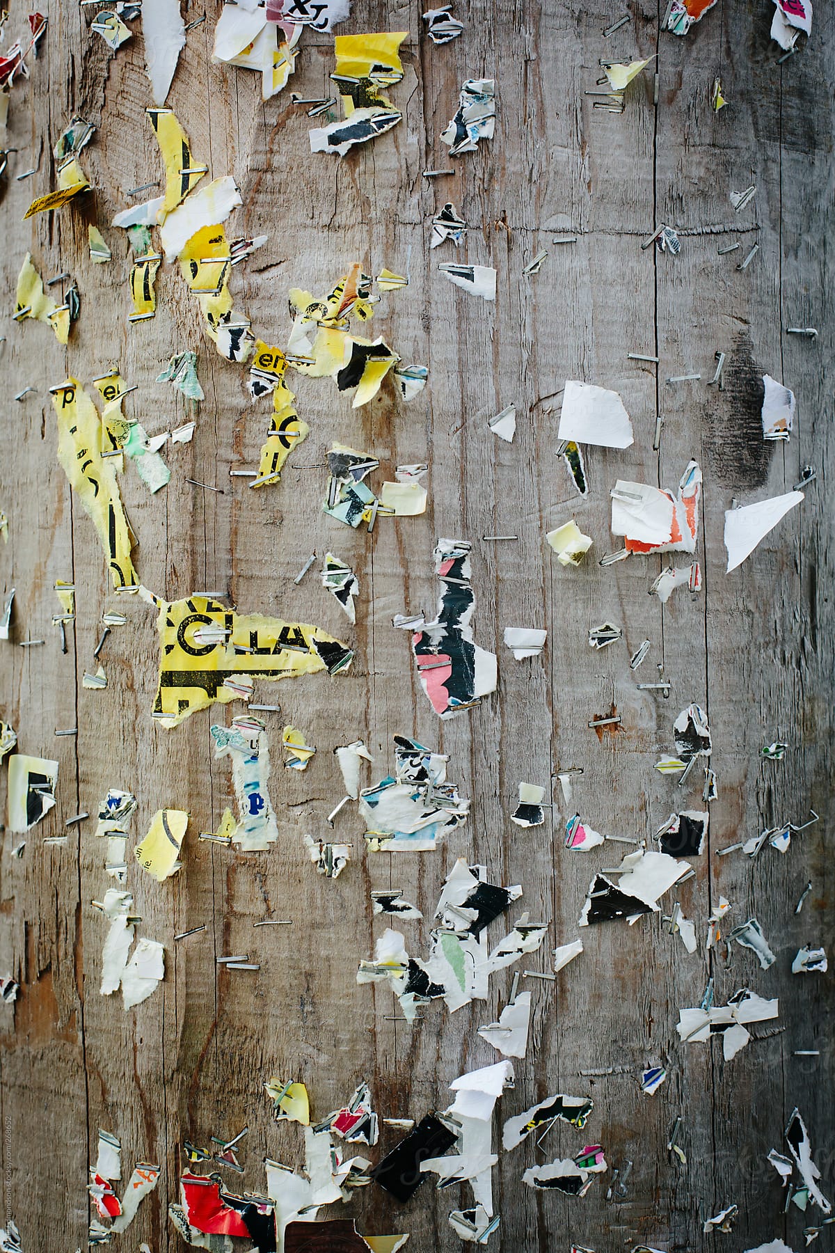 "Close Up Telephone Pole" by Stocksy Contributor "Rialto Images" - Stocksy