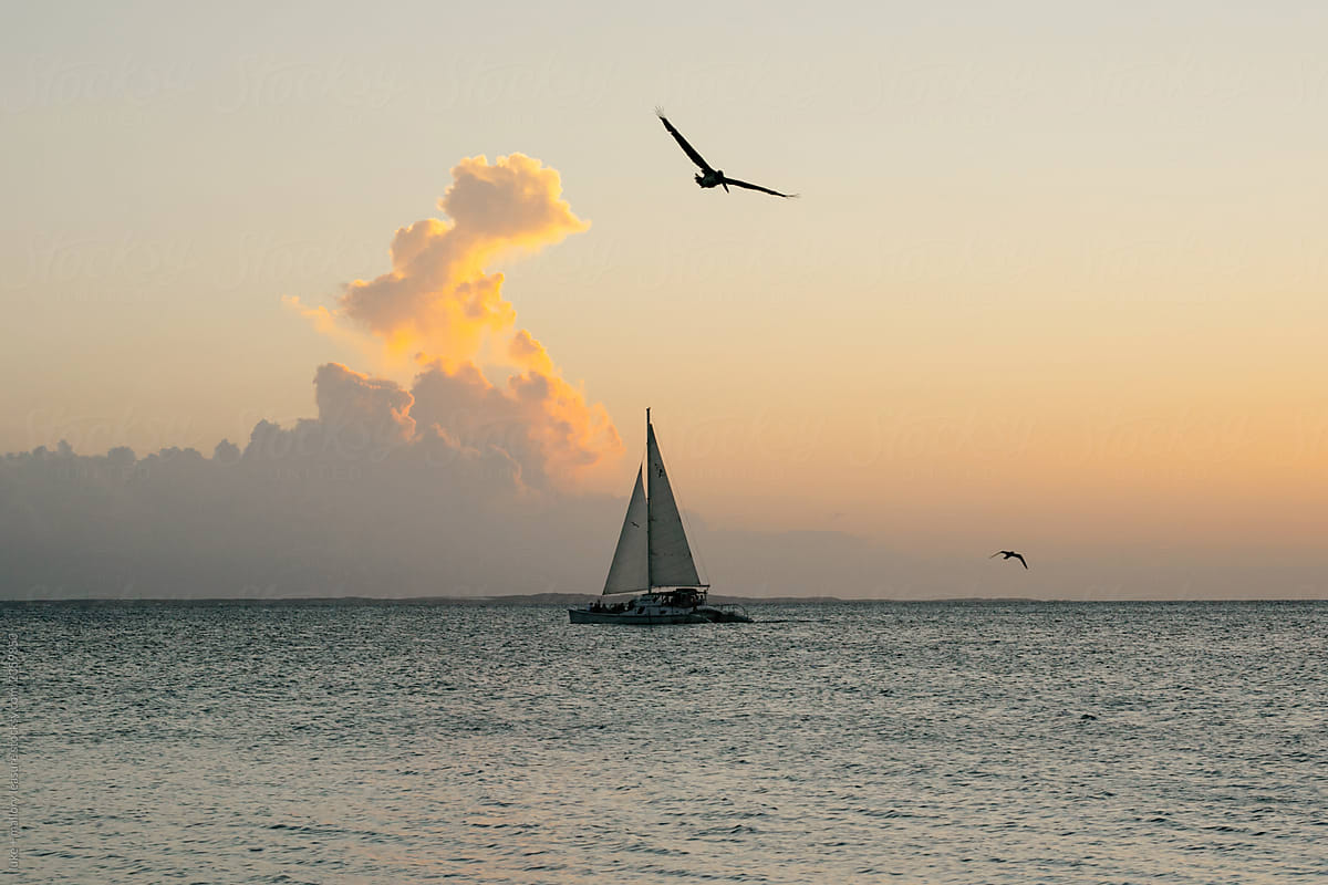 "Sail Boat And Bird" by Stocksy Contributor "luke + mallory leasure ...