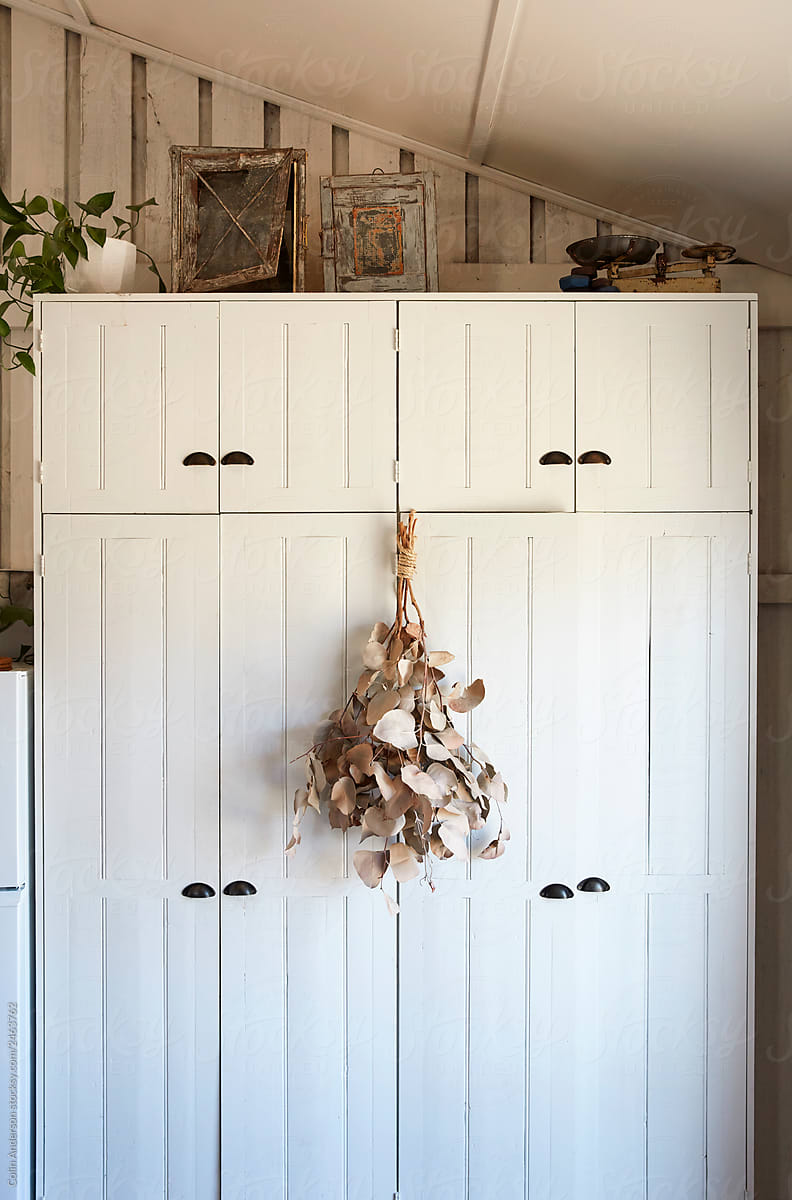"Dried Leaves Hanging From Cupboard" by Stocksy Contributor "Colin ...