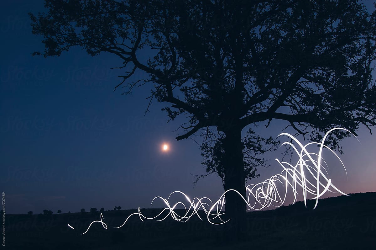 "Light Painting At Night With Tree And Moon" by Stocksy Contributor ...