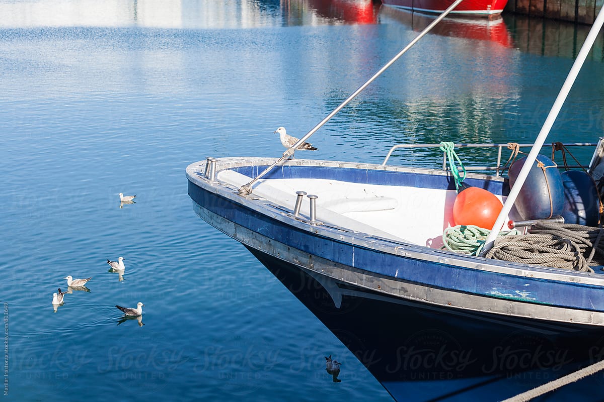 "Seagulls Around A Fishing Boat" by Stocksy Contributor "Marilar ...