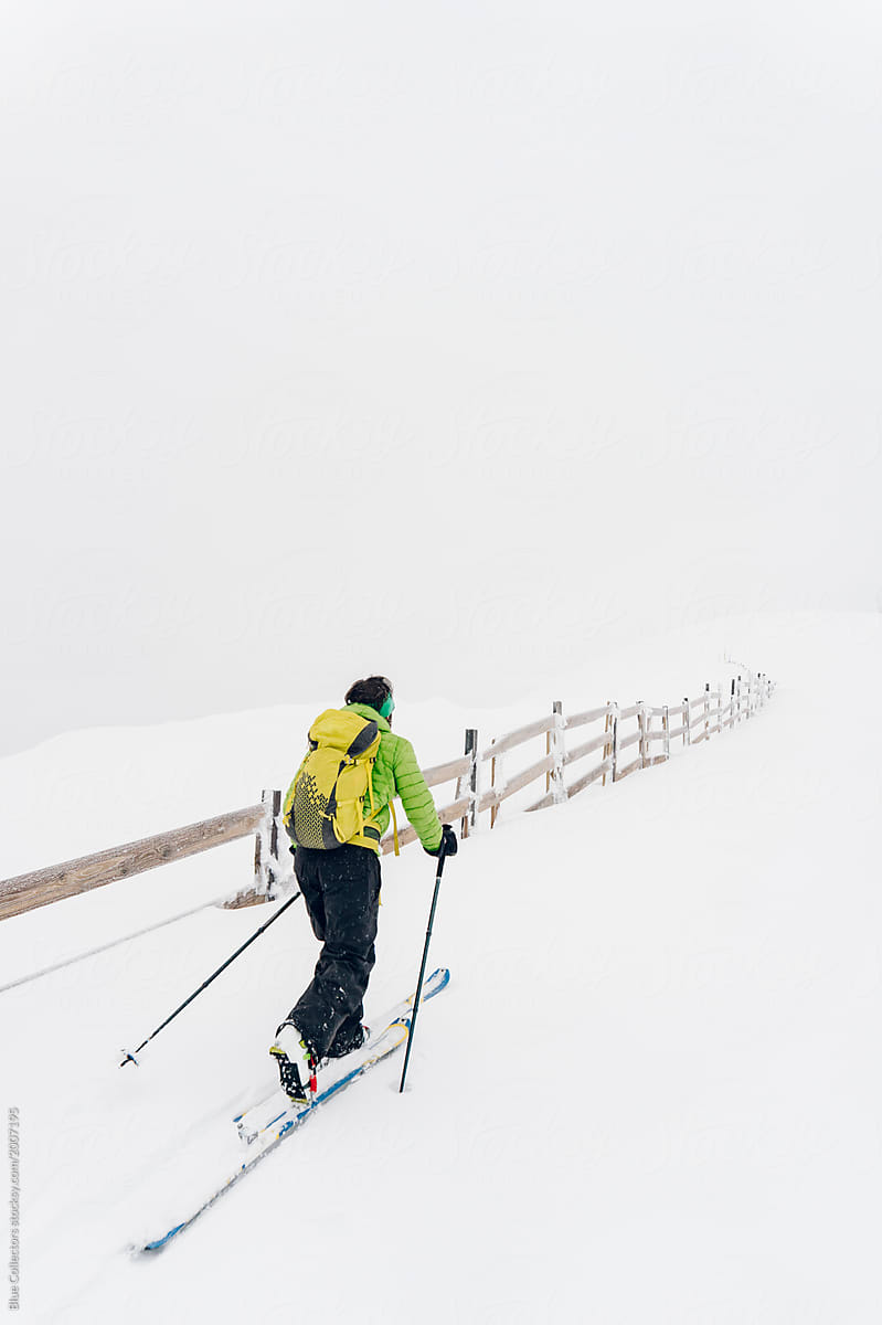 "Skier Ski Touring Through The Snowy Trees" by Stocksy Contributor ...