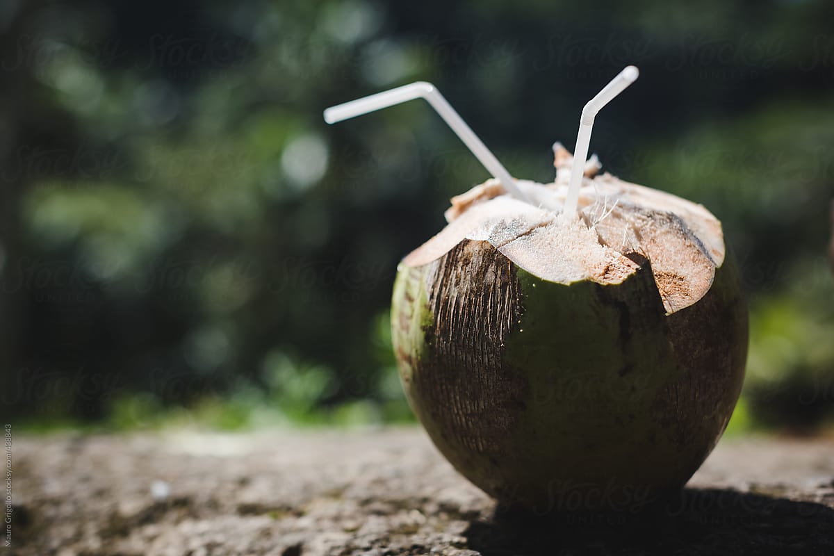 "Coconut" by Stocksy Contributor "Mauro Grigollo" - Stocksy