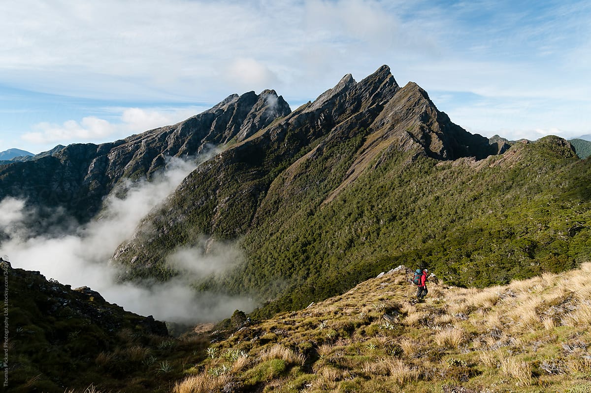 "Woman Walker And Mountains, Kahurangi National Park, New Zealand." by ...