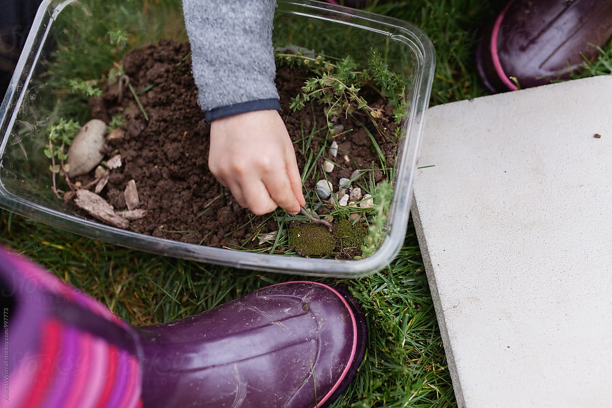 "Children Playing With Worms In The Dirt" by Stocksy Contributor ...