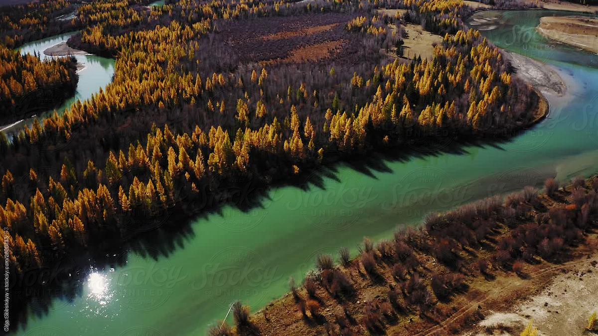 "Curvy Teal River, Colourful Forest" by Stocksy Contributor "Olga ...