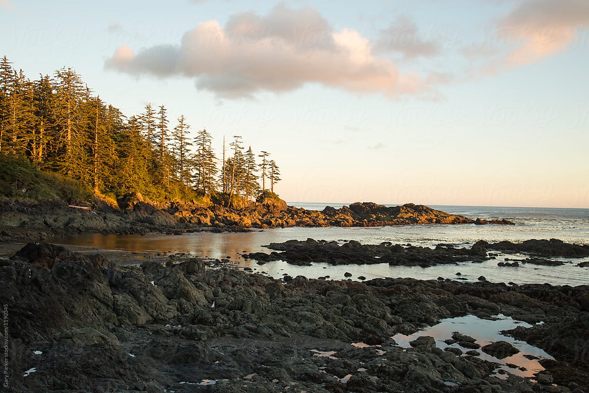 "Canadian Coastal Sunset" by Stocksy Contributor "Gary Parker" - Stocksy