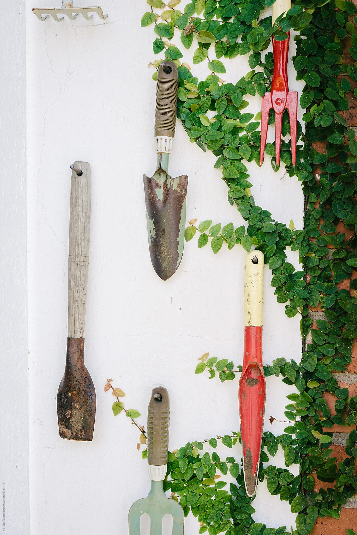 "A Collection Of Gardening Tools On The Wall" by Stocksy Contributor ...