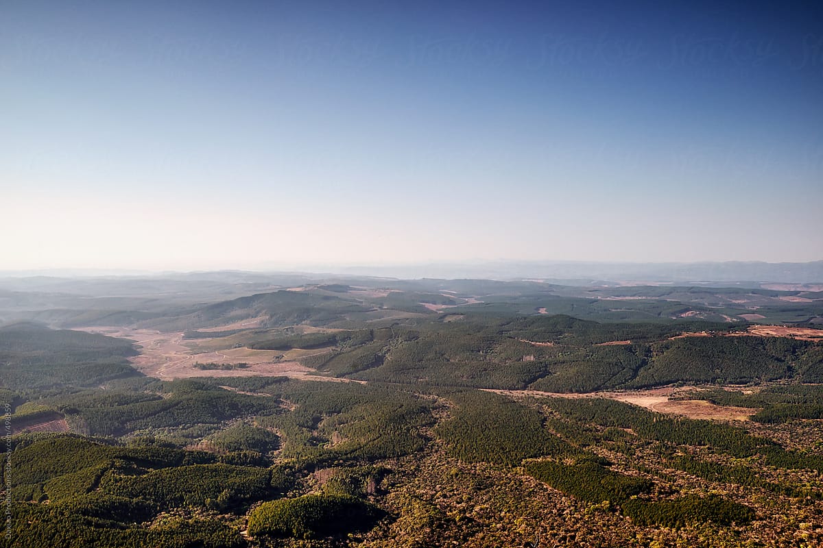 "Valley Of Trees" by Stocksy Contributor "Daxiao Productions" - Stocksy
