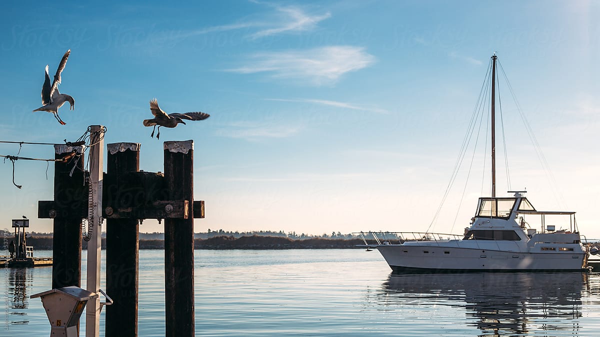 "View From A Wharf" by Stocksy Contributor "Lawrence Del Mundo" - Stocksy