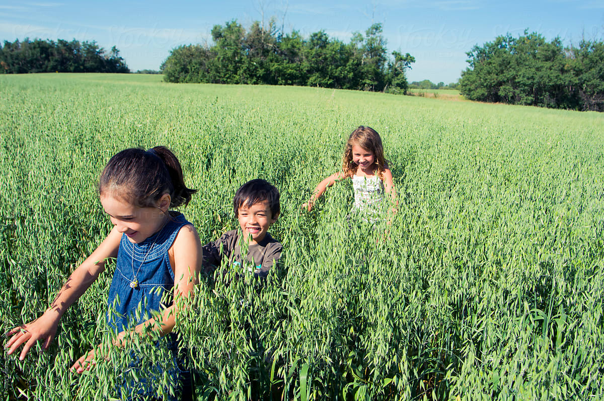 "Kids In Field Of Grass" by Stocksy Contributor "Tomas Kraus" - Stocksy