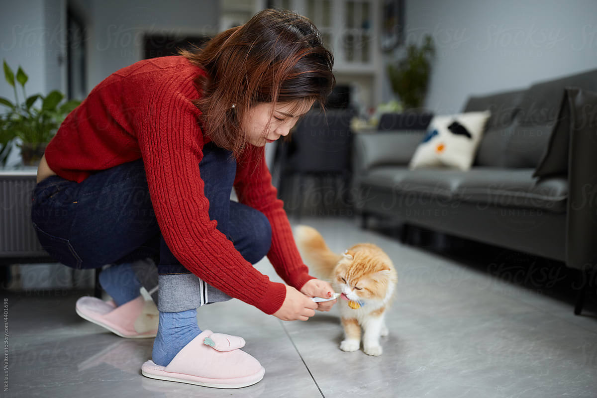 "Cute Orange Cat On Floor Being Fed A Snack By Its Owner" by Stocksy ...