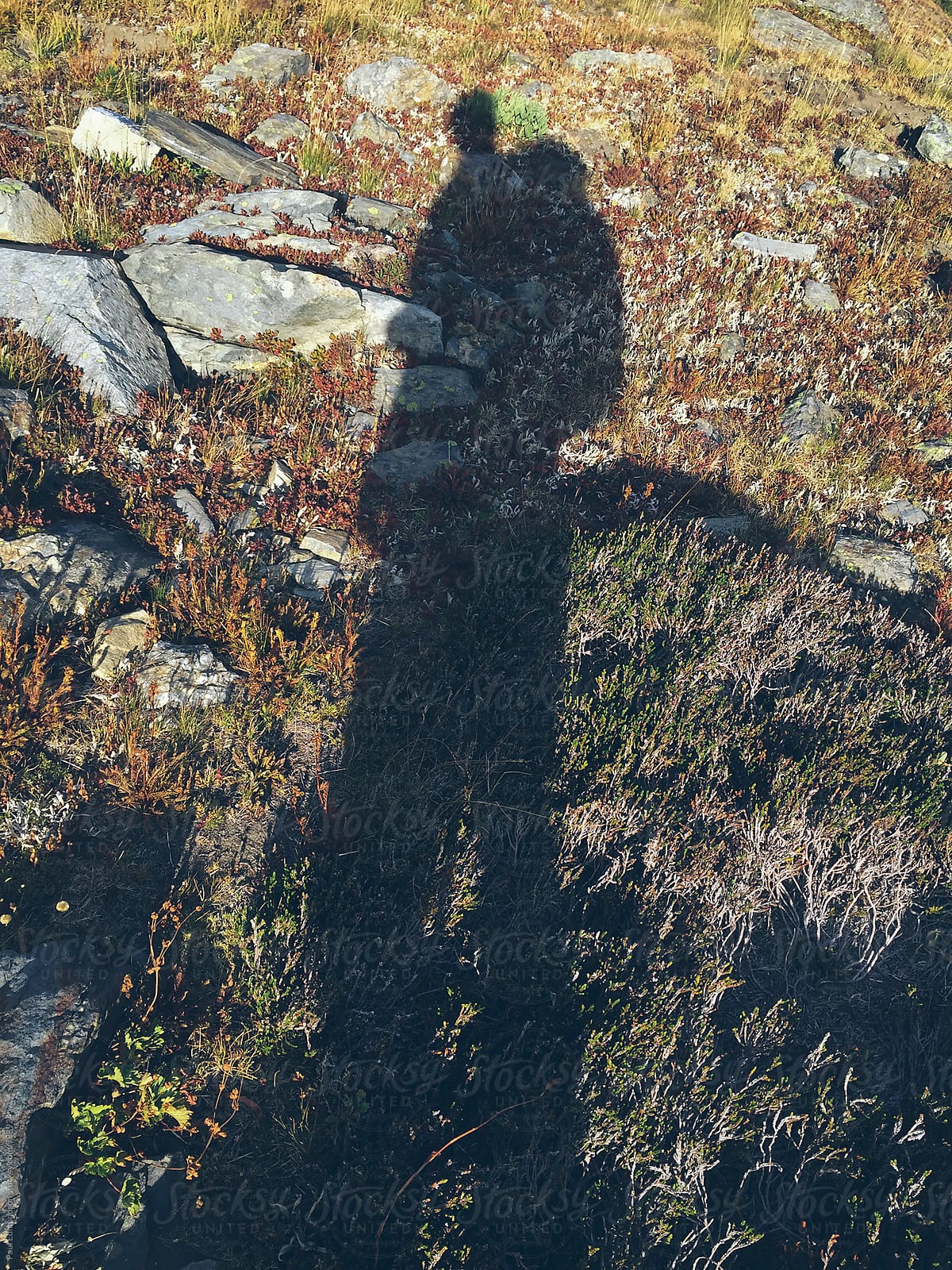 "Shadow Of Man Backpacking In Mountains, Central Cascades" by Stocksy ...