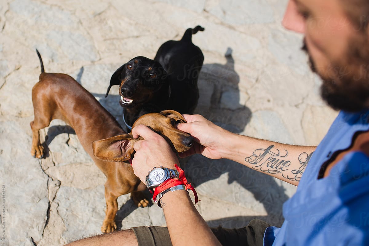 "Man Cuddles His Dogs" by Stocksy Contributor "Michela Ravasio" - Stocksy
