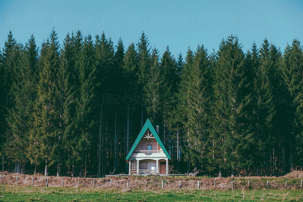 "Beautiful Weekend Cottage House In Pine Trees" by Stocksy Contributor ...