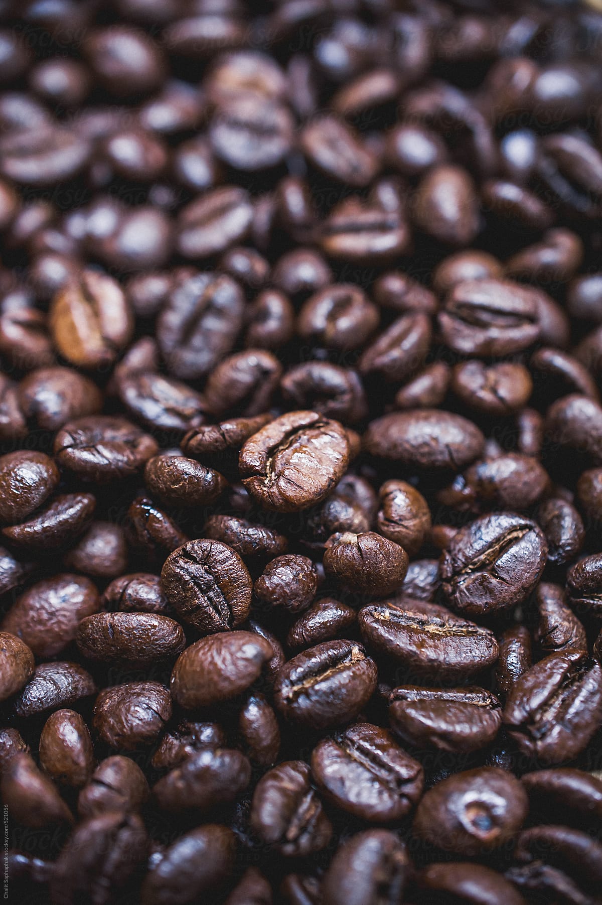 "Robusta Coffee" by Stocksy Contributor "Chalit Saphaphak" - Stocksy