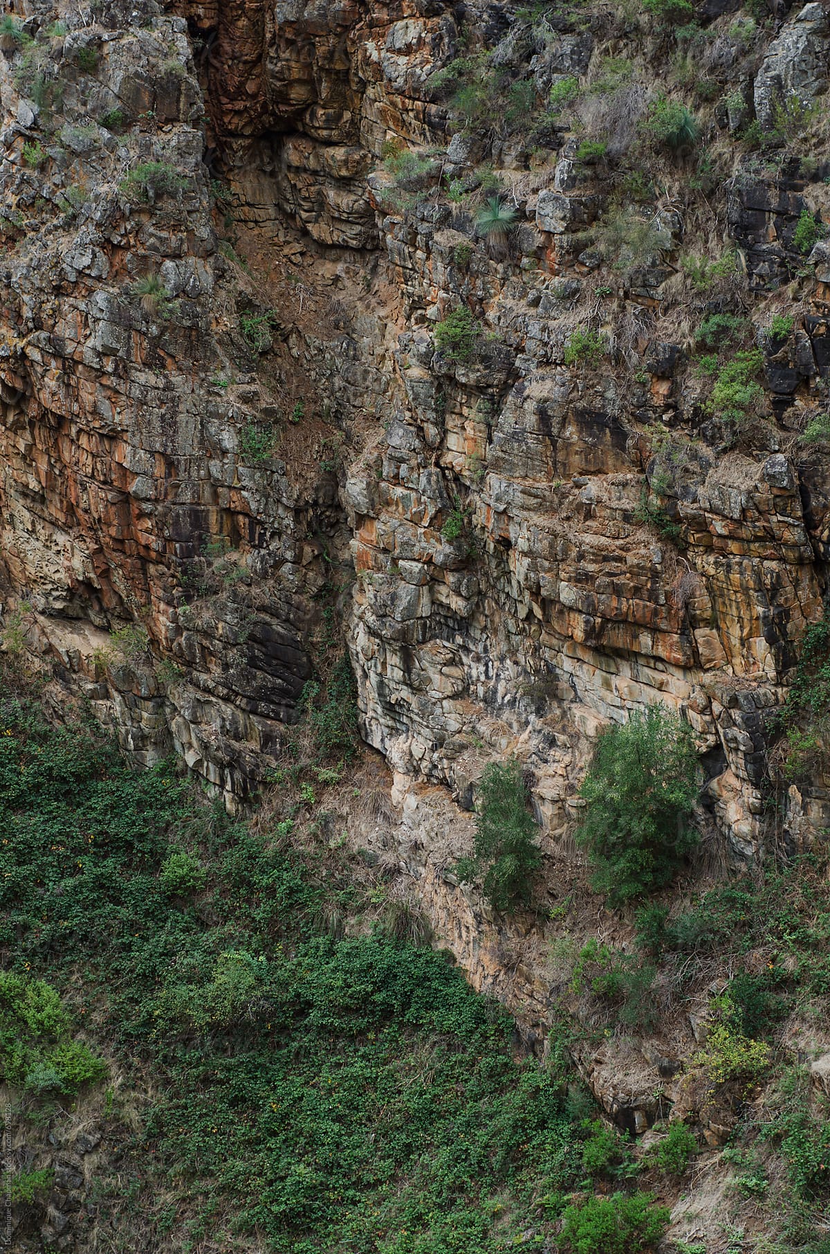 "Cliffs Of Morialta Gorge" by Stocksy Contributor "Dominique Felicity ...