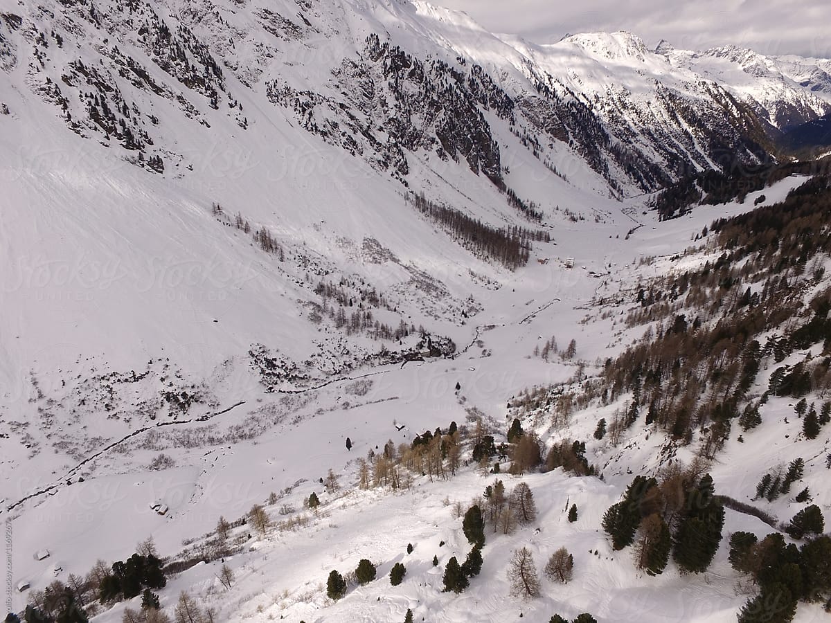 "Forest In Valley At Snowy Mountains" by Stocksy Contributor "Rolfo ...