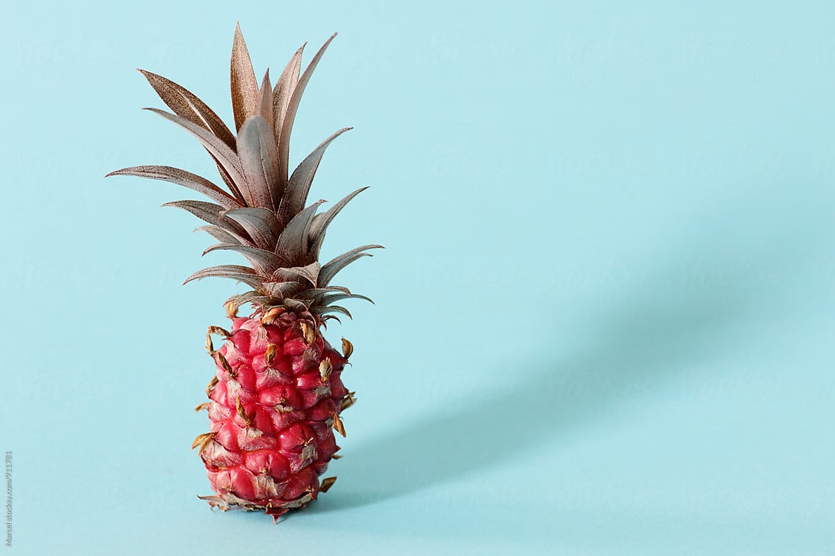 "Exotic Miniature Pineapple" by Stocksy Contributor "Marcel" - Stocksy