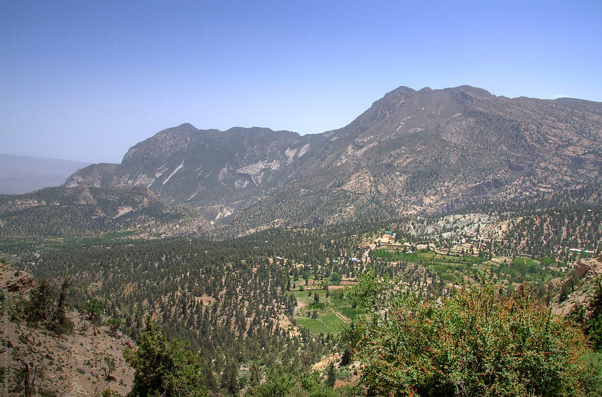 "Juniper Tree Forest, Ziarat Balochistan ." by Stocksy Contributor ...