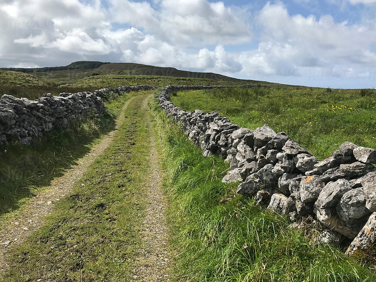 "Footpaths And Stone Walls Along The Burren Way, County Clare, Ireland ...