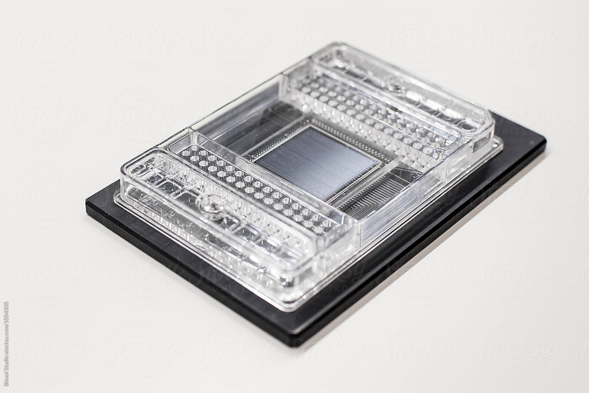 "DNA Chip" by Stocksy Contributor "Bisual Studio" - Stocksy