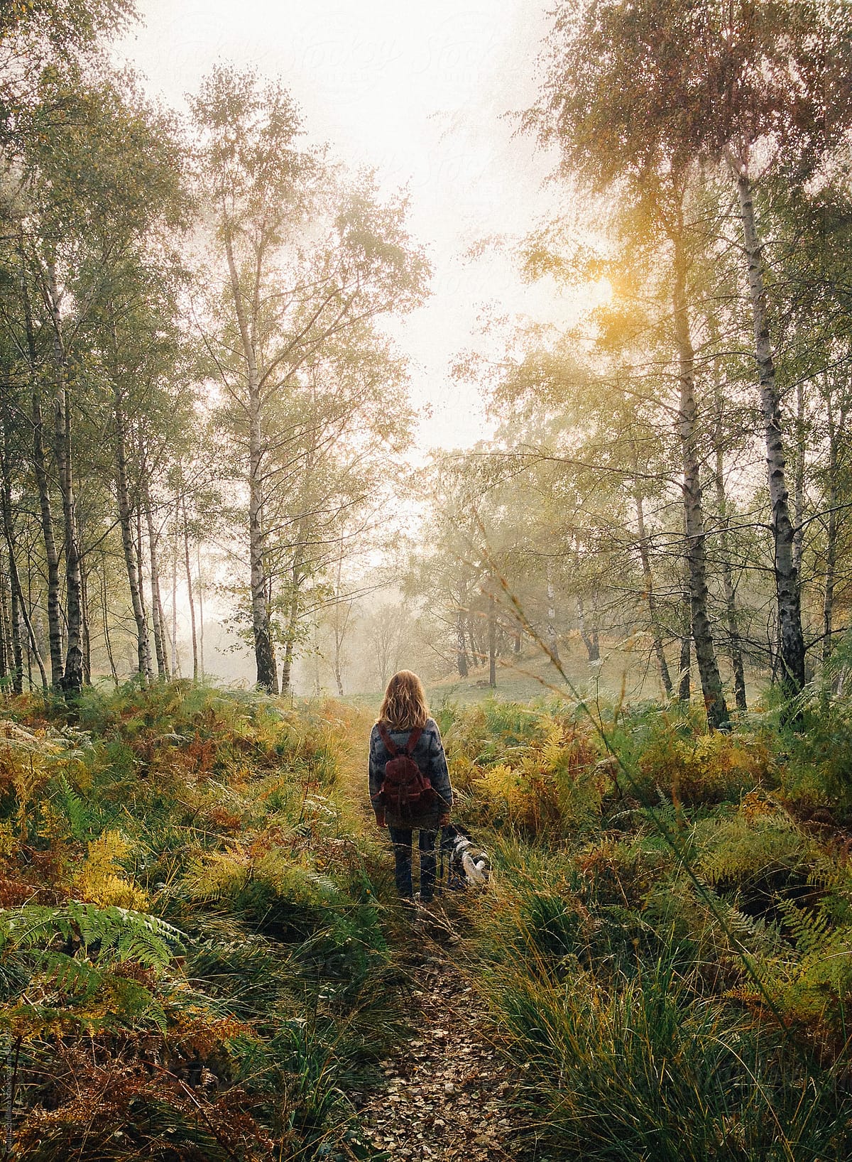 "Girl And Her Dog Exploring The Woods Of Ferns" by Stocksy Contributor ...