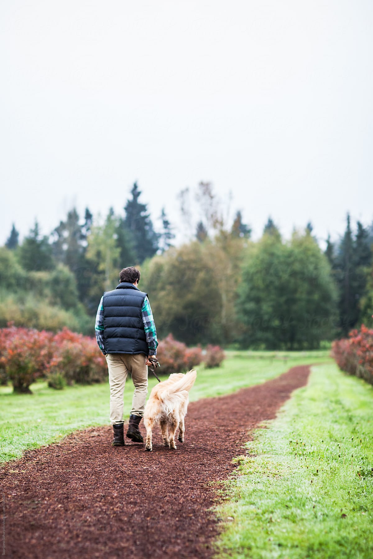 "Man With His Dog Outdoor" by Stocksy Contributor "Take A Pix Media ...