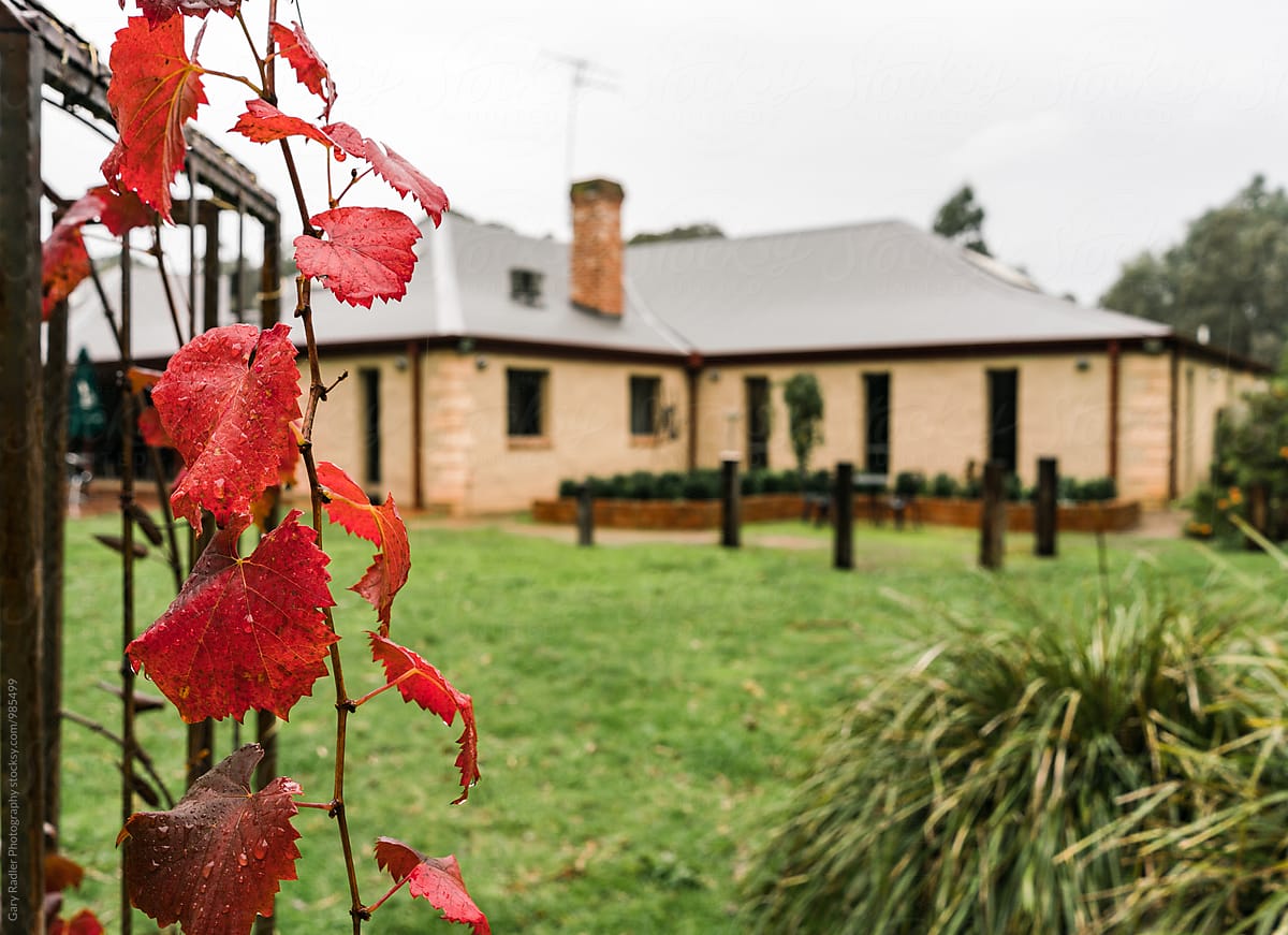 "Australian Mudbrick Homestead" by Stocksy Contributor "Gary Radler ...