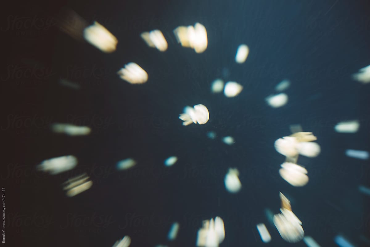 "Jellyfish Zoom" by Stocksy Contributor "Ronnie Comeau" - Stocksy