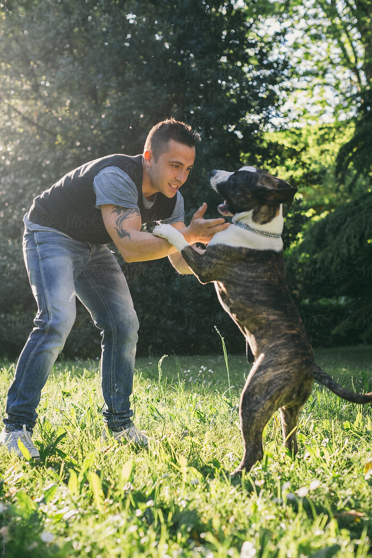 "Man With A Dog In A Garden" by Stocksy Contributor "Mauro Grigollo ...