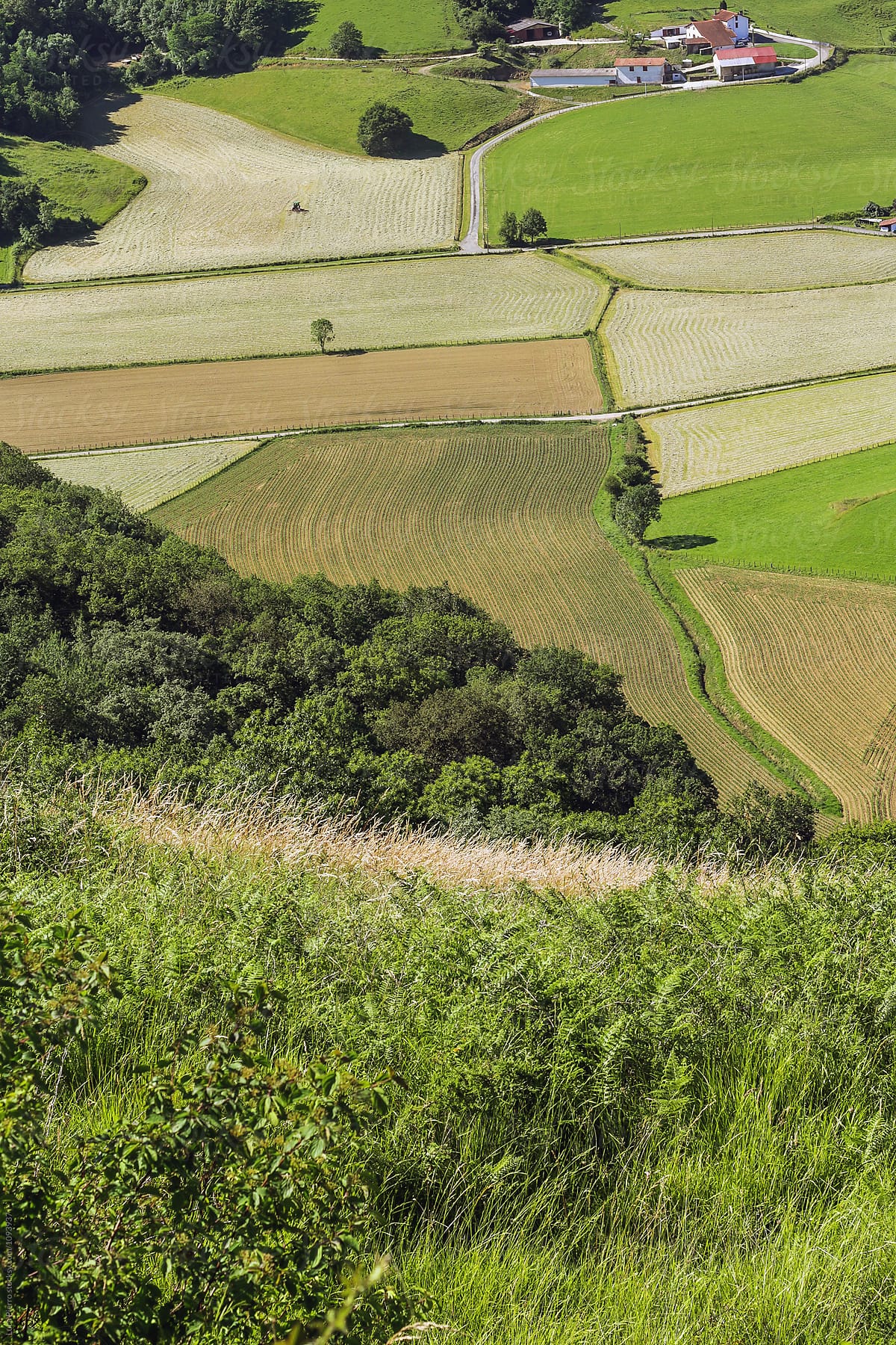 "Aerial View Of Cultivated Fields" by Stocksy Contributor "Sky-Blue ...