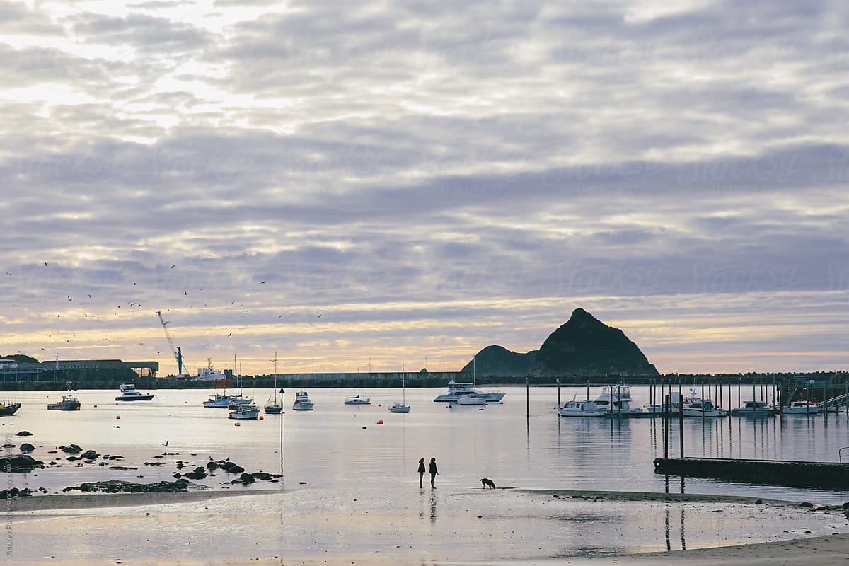"Two People Walking With A Dog On A Pier" by Stocksy Contributor ...