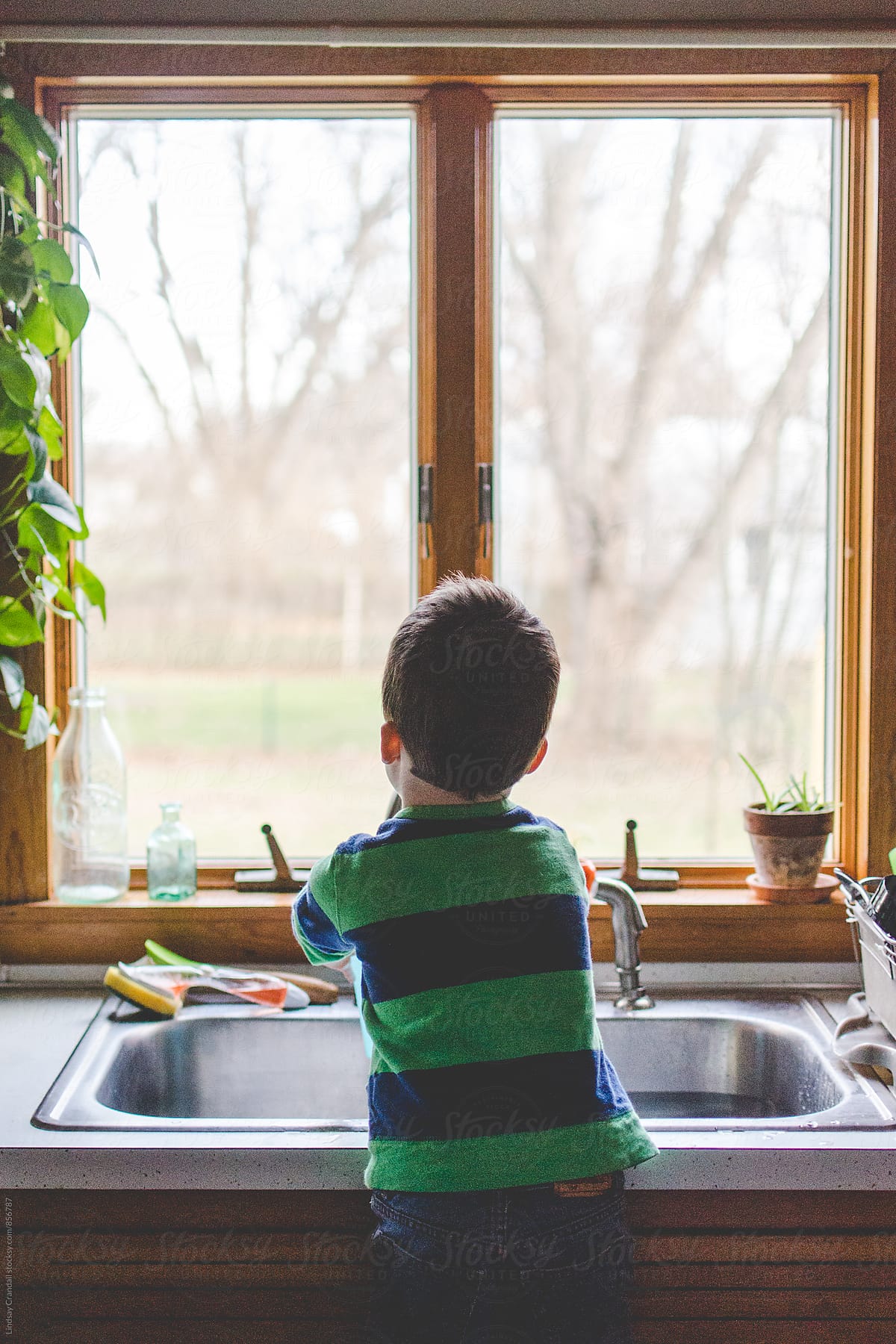 "Boy Standing At Kitchen Sink Doing Dishes" by Stocksy Contributor ...