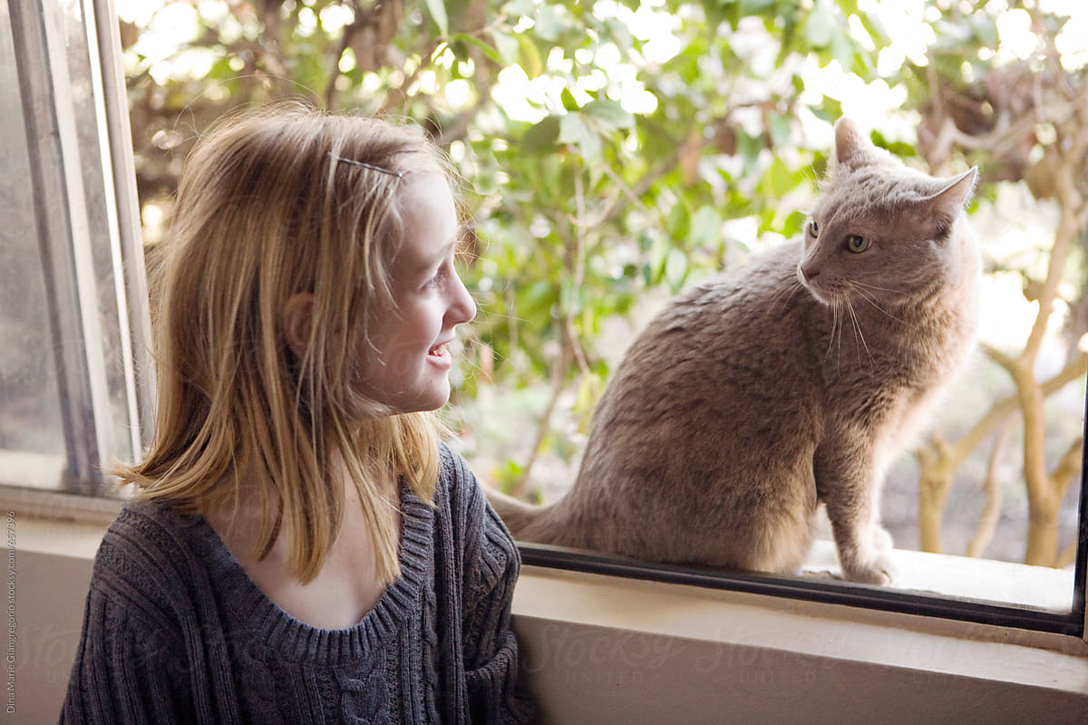 "Girl Next To Window Looking At Gray Cat" by Stocksy Contributor "Dina ...