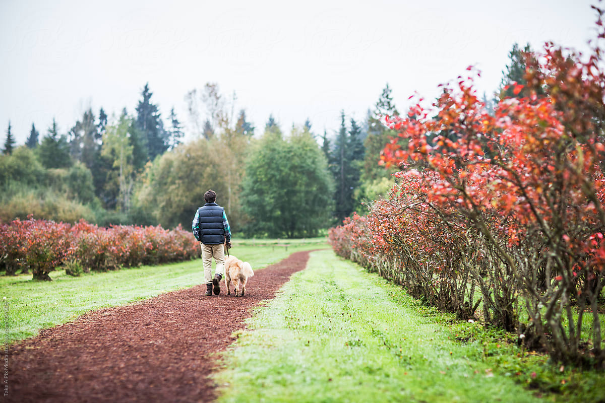 "Man With His Dog Outdoor" by Stocksy Contributor "Take A Pix Media ...
