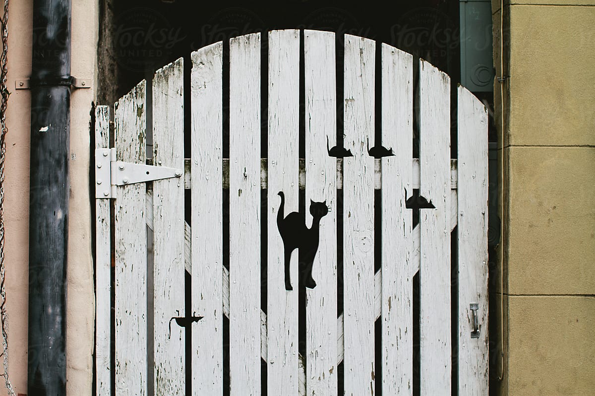 "Gate With Cutouts Of A Cat And Mice" by Stocksy Contributor "Jess ...
