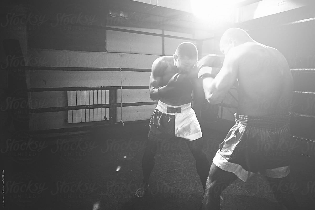"Professional Boxers Fighting" by Stocksy Contributor "Lumina" - Stocksy