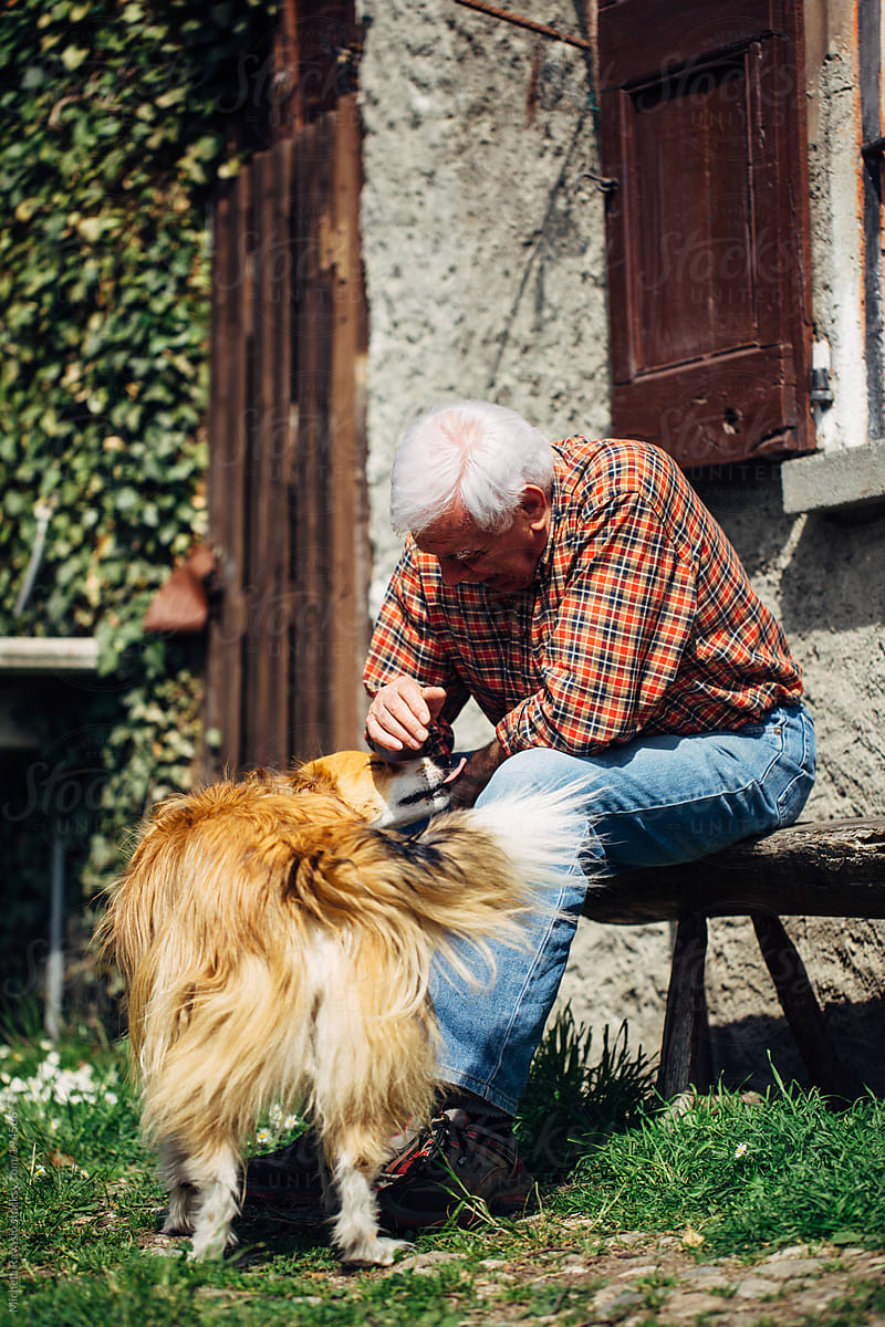 "Elderly Man With His Dog" by Stocksy Contributor "Michela Ravasio ...
