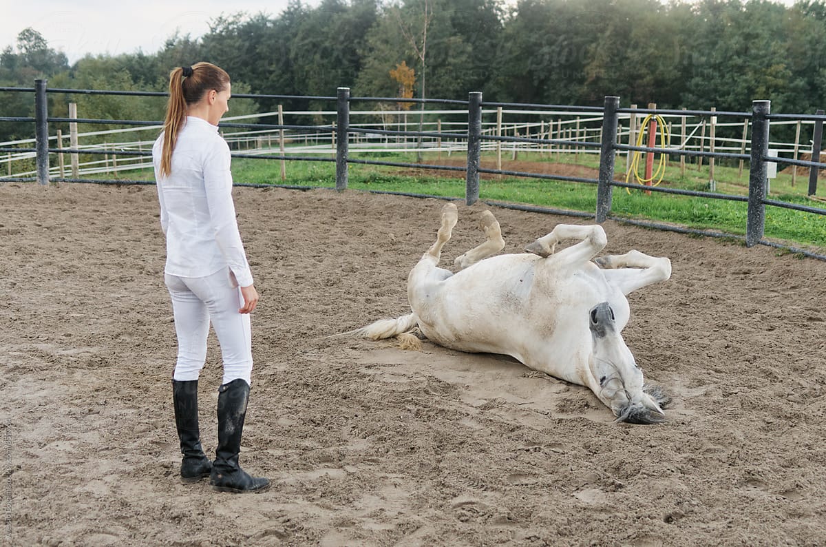"Relaxed Horse" by Stocksy Contributor "Alessio Bogani" - Stocksy