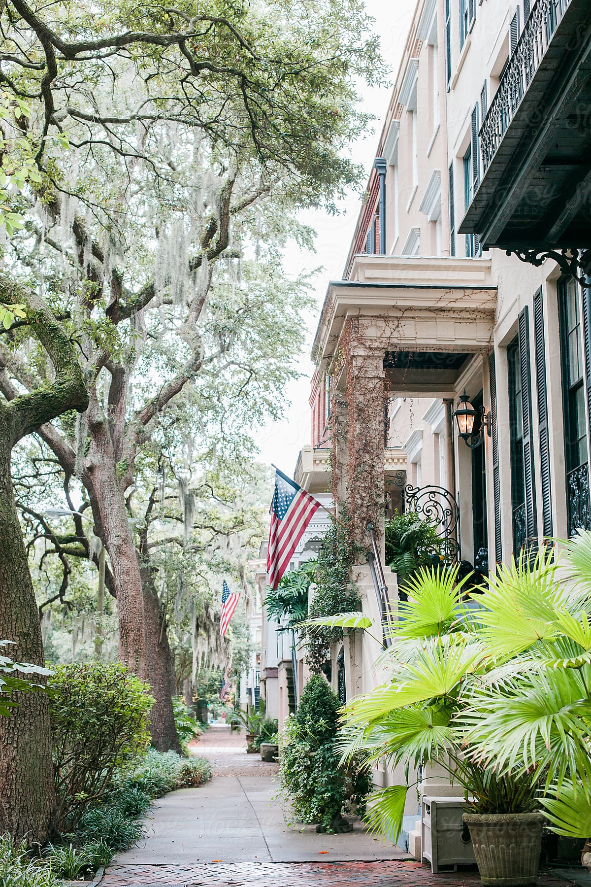 "Residential Sidewalk With American Flags & River Oaks In Savannah" by ...