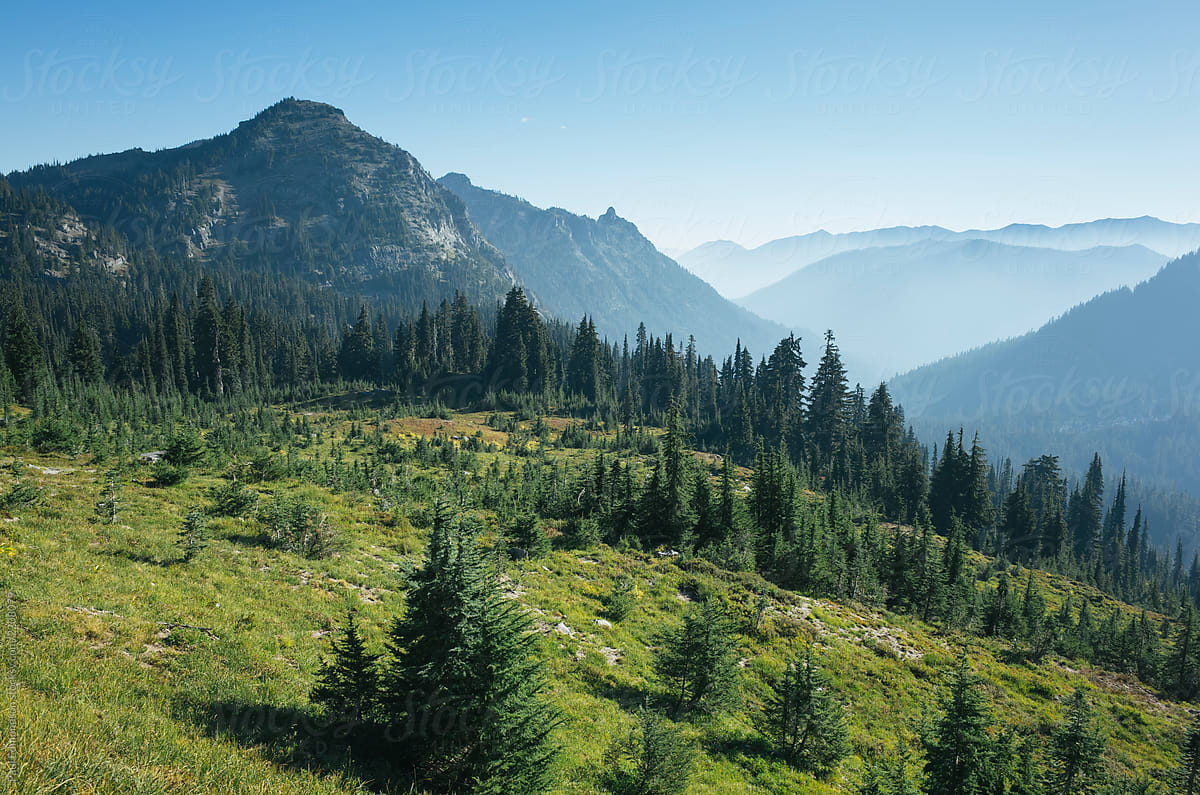 "Remote Alpine Meadow , Cascade Range In Distance, Washington" by ...
