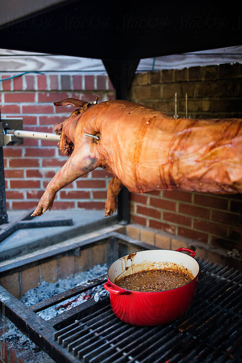 "Fire Roasted Whole Hog Cooking On Spit" by Stocksy Contributor "Andrew ...